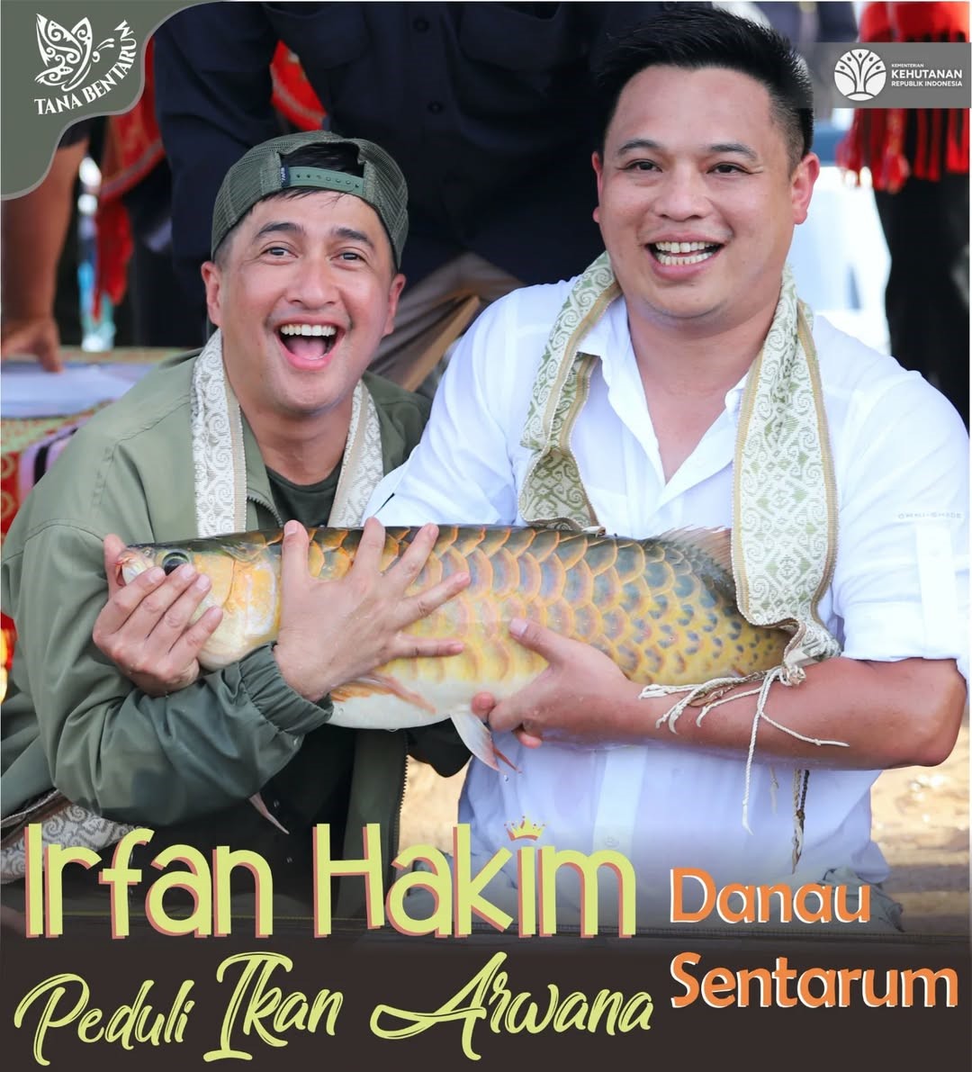 Alasan Irfan Hakim Lepas 30 Arwana Super Red di Danau Sentarum Kapuas Hulu